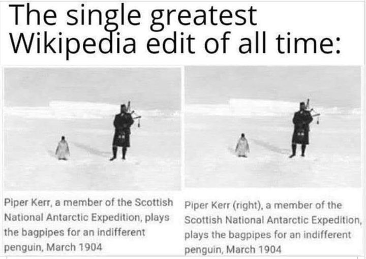 David Trueman (@DavidTrueman@mstdn.ca) - Mastodon Canada